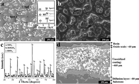Microstructure And Composition Of Sic Hfb 2 Si Coated Specimens After