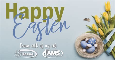 Steve Chesney Posted On Linkedin