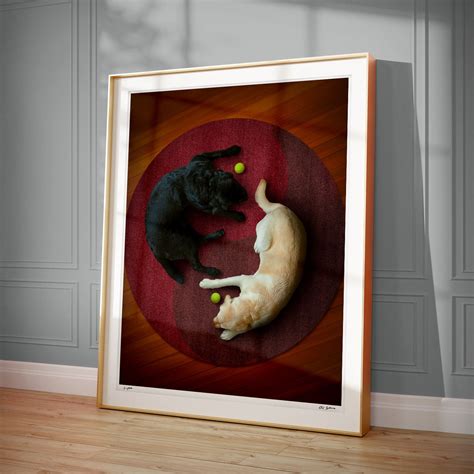 Yin And Yang Limited Edition Art Print By Ron Schmidt Ron Schmidt Art