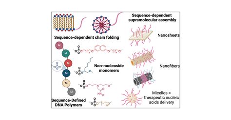 Sequence Defined Dna Polymers New Tools For Dna Nanotechnology And