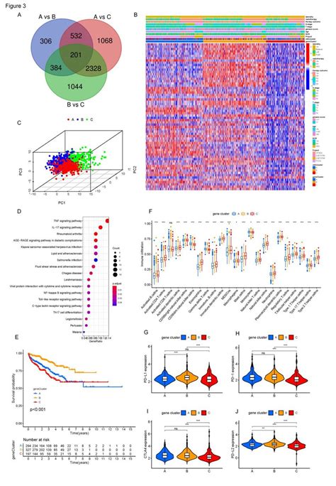 Reconstruction Of Tumor Clusters A Screening Yielded 201 Download