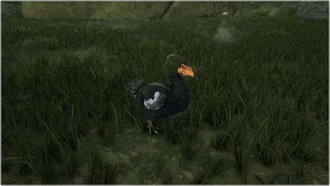 Ark Dodo Abilities Taming Food Saddle Breeding Drops And Location
