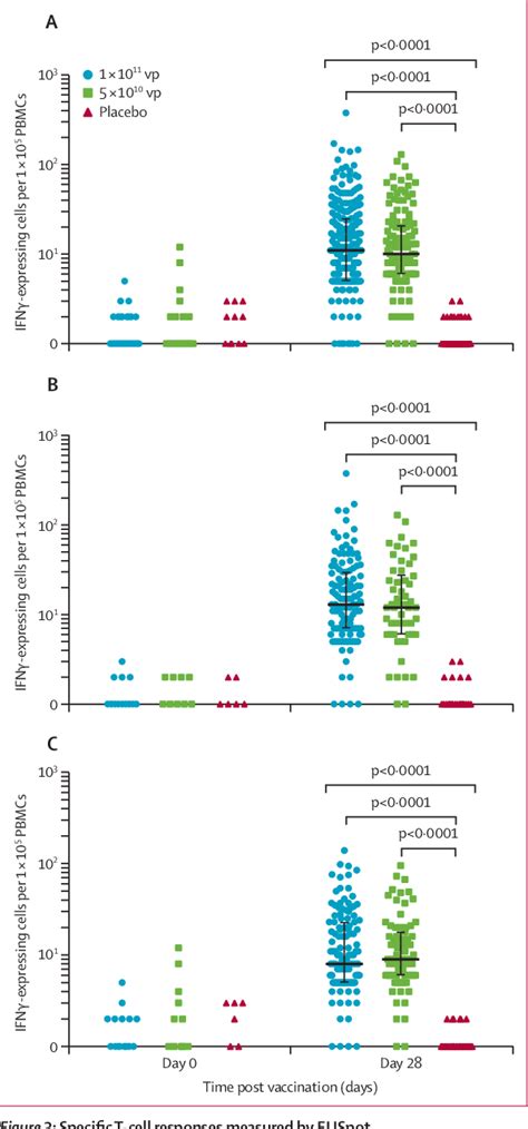 Enzyme Linked Immunospot Assay Semantic Scholar