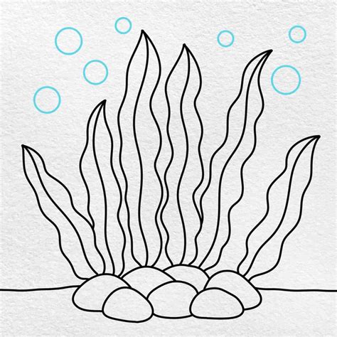 Seaweed Drawing Images At Brandi Stevens Blog