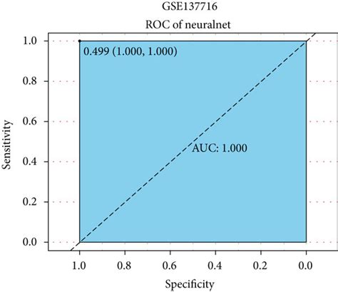 Two Datasets Determine Neural Network Classification Efficiency A