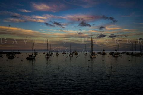 Catalina Island Boats Anchored In The Harbor At Sunset Photography
