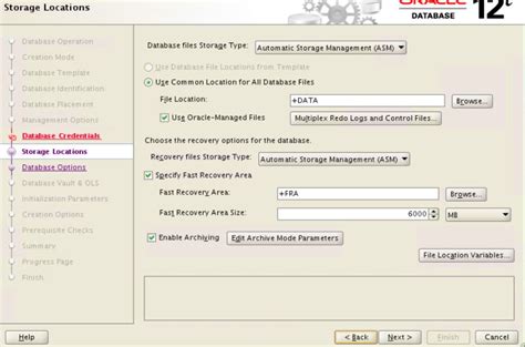 oracle database commands and practical examples multitenant cdb