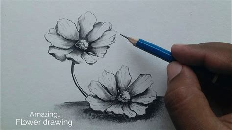 Pencil Shading Drawings Of Flowers Single Flower Drawing Images
