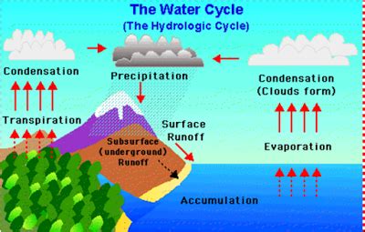 Water Cycle Class Natural Resources