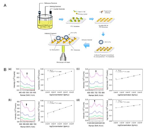 Optical Detection Of Hiv 1 Virus Based On Sers A Schematic Download Scientific Diagram