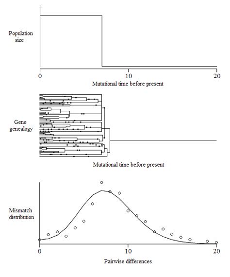 Coalescent Simulation Of Gene Genealogy And Corresponding Mismatch