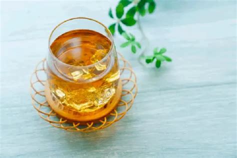 보리차 효능 Top 6가지 총 정리 티백 차 Tea 정보 공유 미디어