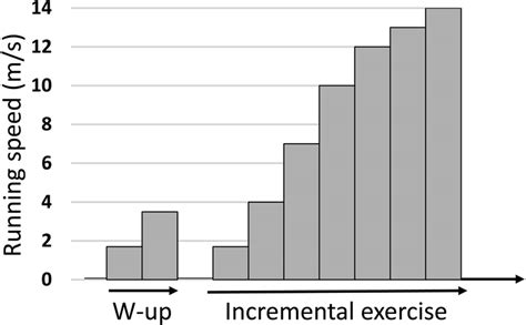 The Exercise Protocol During Treadmill Exercise When Cardiorespiratory Download Scientific
