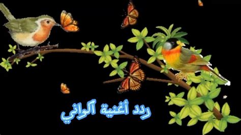 نشيد غرد يا عصفوري 🦜 Youtube