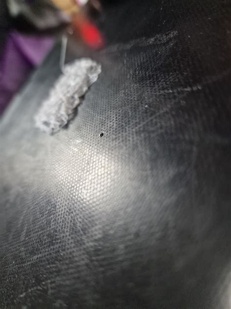 First Layer Not Sticking To Bed D Printing Space