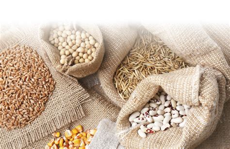 Lcmsms Method Package For Mycotoxins Shimadzu Shimadzu Corporation