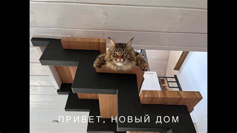 Привет загородная жизнь Первый день в новом доме Youtube