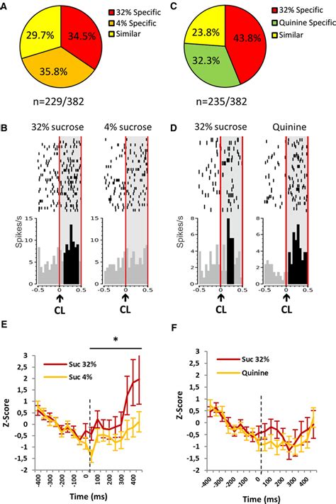 Responses Of The Stn Neurons To The Predictive Cue Lights Cls A B Download Scientific
