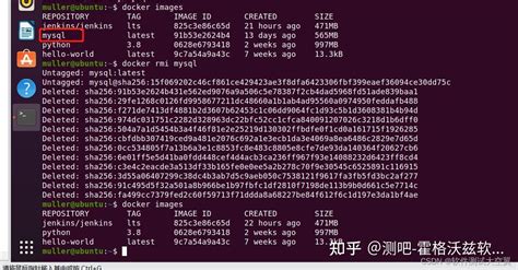 Docker镜像管理命令详解 知乎