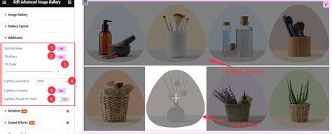 How To Use The Advanced Image Gallery Widget