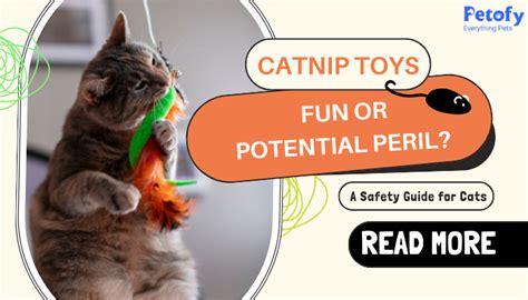 catnip toys fun or potential peril a safety guide for cats