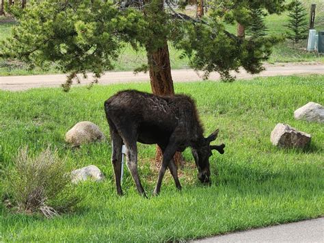 Fox 📊 Consulting On Linkedin Datamanagement Businessintelligence Dataanalytics Datasecurity…