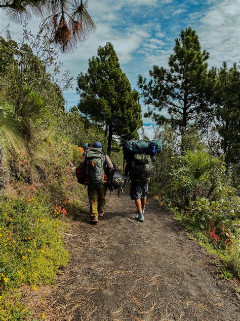 Acatenango And Fuego Volcanoes Overnight Hike With Ox Expeditions