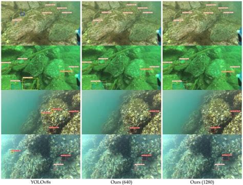 Applied Sciences Free Full Text Efficient Small Object Detection In Underwater Images Using