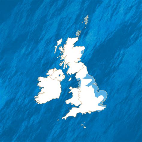 Rough Legged Buzzard Facts Buteo Lagopus