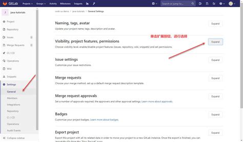Gitlab 如何修改项目从私有到公有 知乎