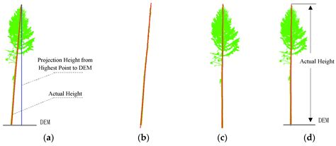 Forests Free Full Text An Automated Pipeline For Extracting Forest