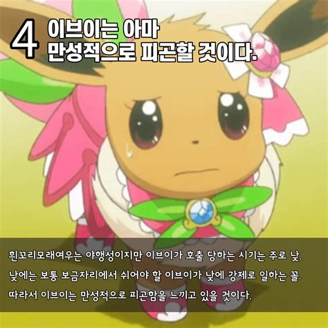 수의사가 보는 동물 캐릭터 포켓몬스터 이브이