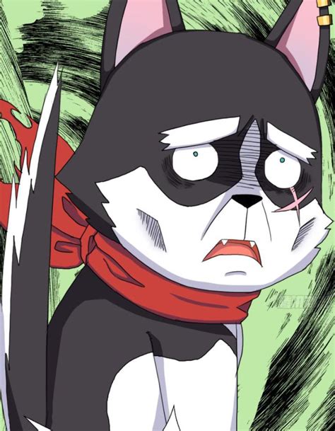 Springsessionredis实现session共享以及浅谈session工作原理 Ew帮帮网