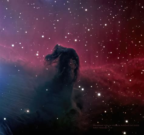 The Horsehead Nebula Telescope Live
