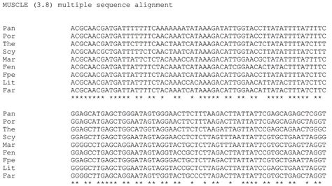 科学网Linux下文本转为图片 卢锐的博文