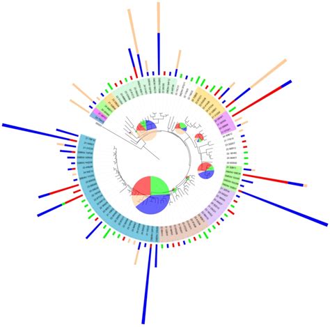 Itol Interactive Tree Of Life