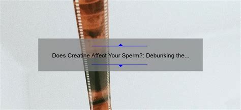 Does Creatine Affect Your Sperm Debunking The Myths Sperm Blog