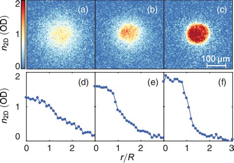 Figure 3 From Homogeneous Atomic Fermi Gases Semantic Scholar
