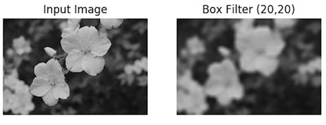 Image Filtering Techniques In Opencv