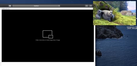 pictureinpicture issue in some browsers · issue 12 · core player vue