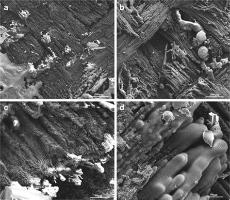 the surface of sicf sio2 composites after ablation download