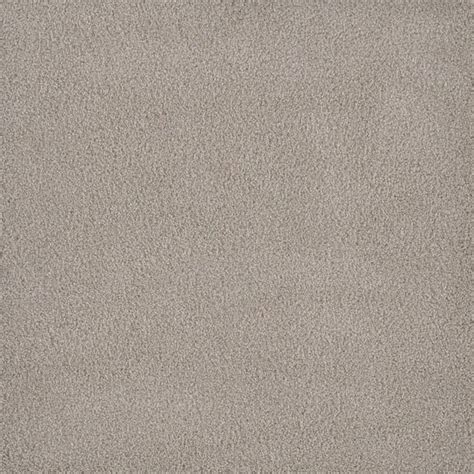 Home Decorators Collection First Class Ii Daystar Beige 50 Oz Sd