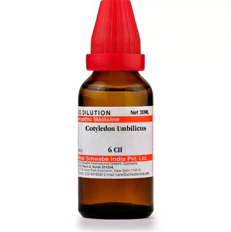 Cotyledon Umbilicus Homoeo Healing