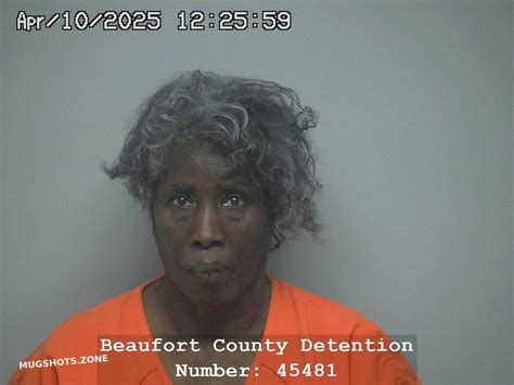 Brenda Ann Fields 04 15 2025 Beaufort County Mugshots Zone