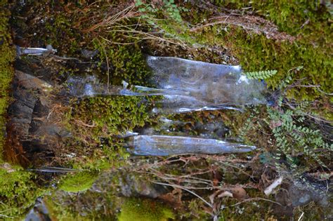 ბორჯომის ცენტრალური ისტორიული პარკი Borjomi Central Historical Park ბორჯომის ცენტრალური