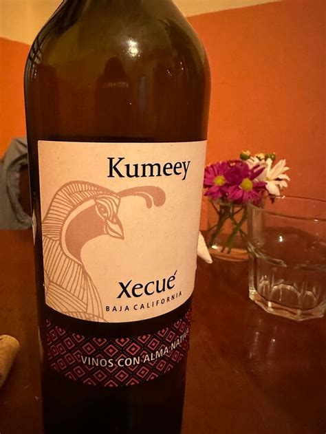 Sandunga Merida Calle 47 453a Por 50 Y 52 Centro Mérida Yucatán Restaurant Bewertungen