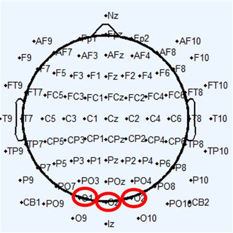 Ground Truths Used In Eeg Based Ddd Download Scientific Diagram