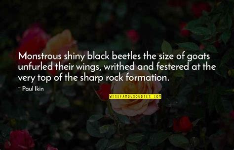 Beetles Quotes Top 19 Famous Quotes About Beetles