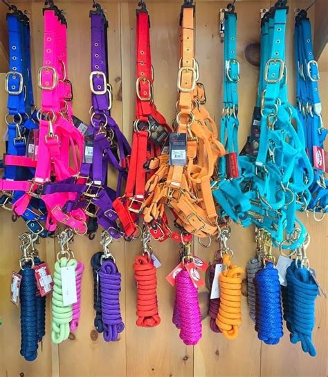 Licou Nylon Uni Couleurs Variées Boutique Bellifrance