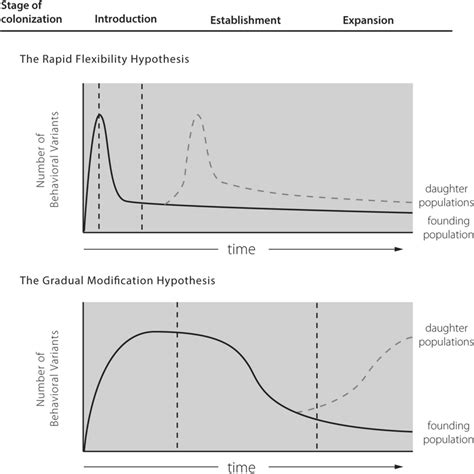 Two Models For The Tempo Of Adaptive Flexibility Download Scientific Diagram